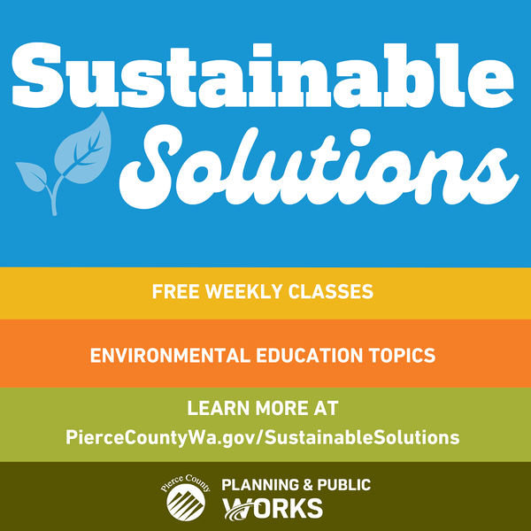 Sustainable Solutions - Free weekly classes on Environmental Education ...